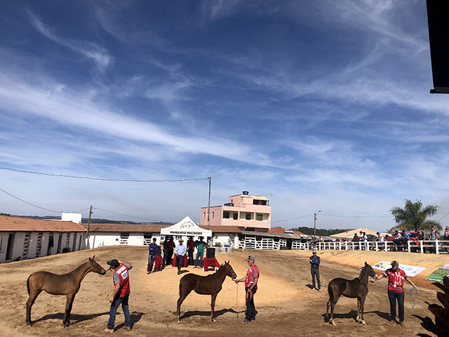41ª Exposição Agropecuária de Resende Costa atrai recorde de público ...